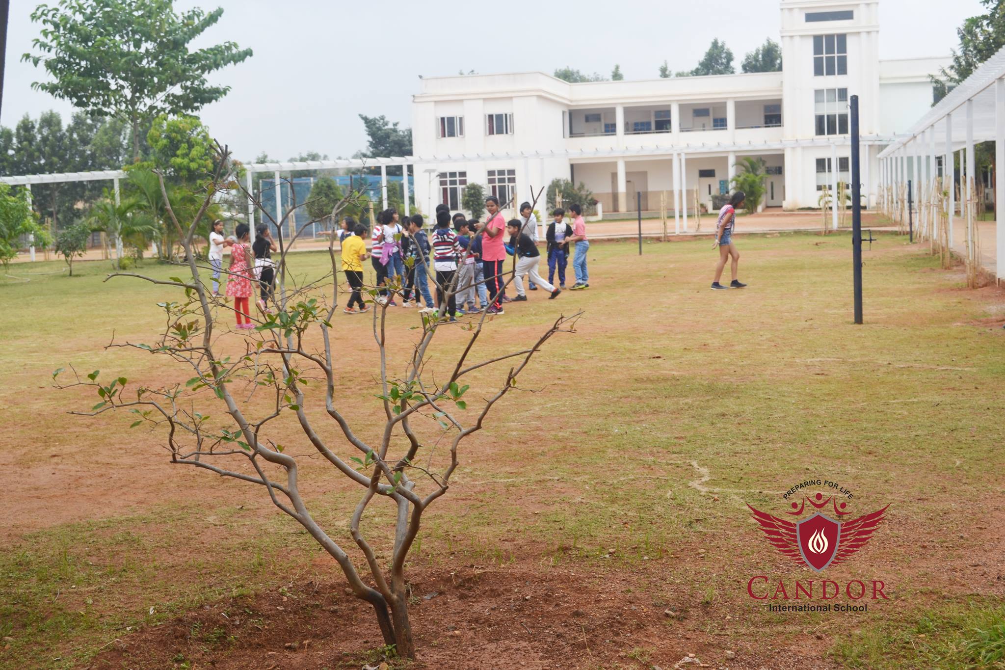 Our Grade 3 students played for the first time, a friendly game of ...